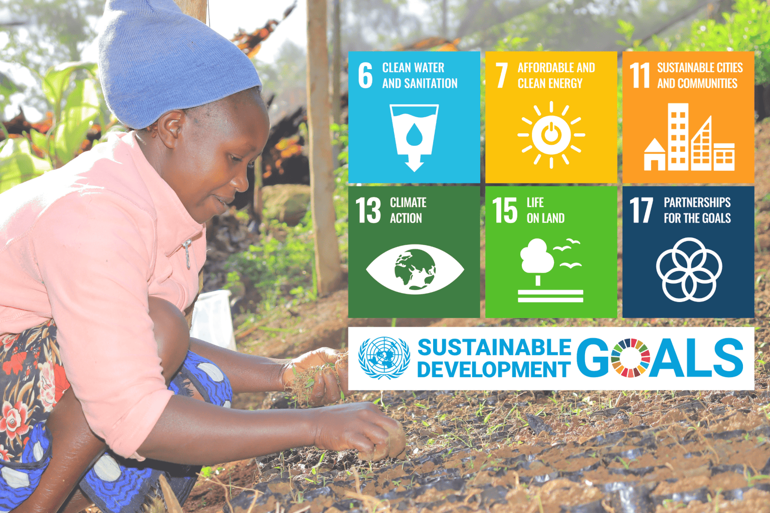 ACEECA & Sustainable Development Goals - African Centre For Environment ...