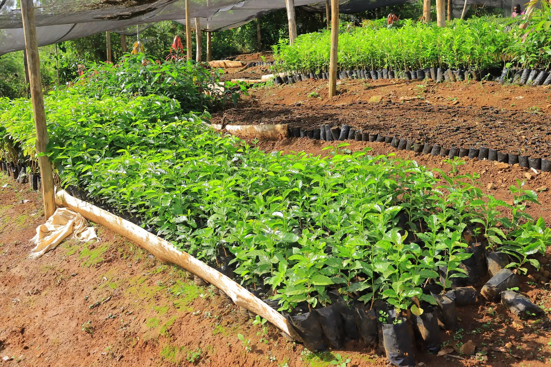 Community Led Conservation And Sustainable Resource Management Ccsrm